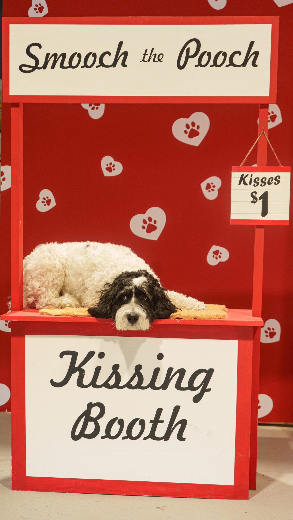 Things to Do in Downtown Calgary: Your Ultimate Guide